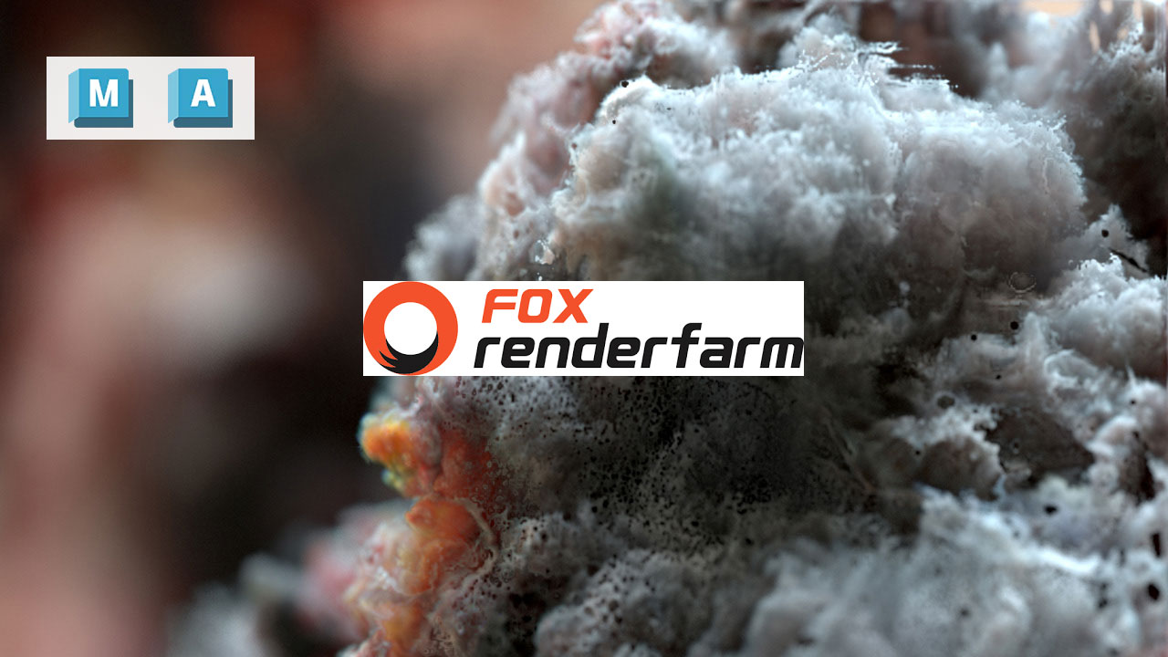 3D 프로젝트를 위한 최고의 Maya Arnold 렌더 팜 - 3Drenderfarms