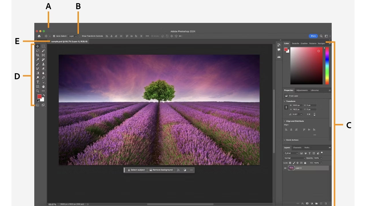 Photoshop vs Krita: 완벽한 비교 - 3Drenderfarms